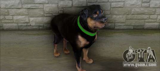 Rottweiler from GTA 5 for GTA San Andreas